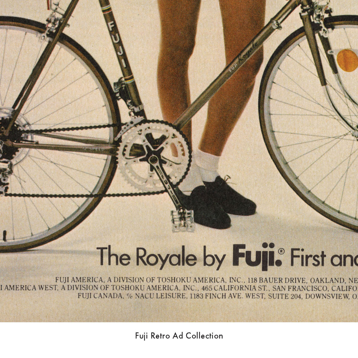 Retro Fuji Royale Print – Fuji Bikes USA Powered by BikeCo
